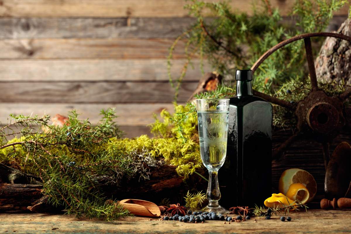 Meilleur gin en 2020 : Guide d'achat | Webmaman.com